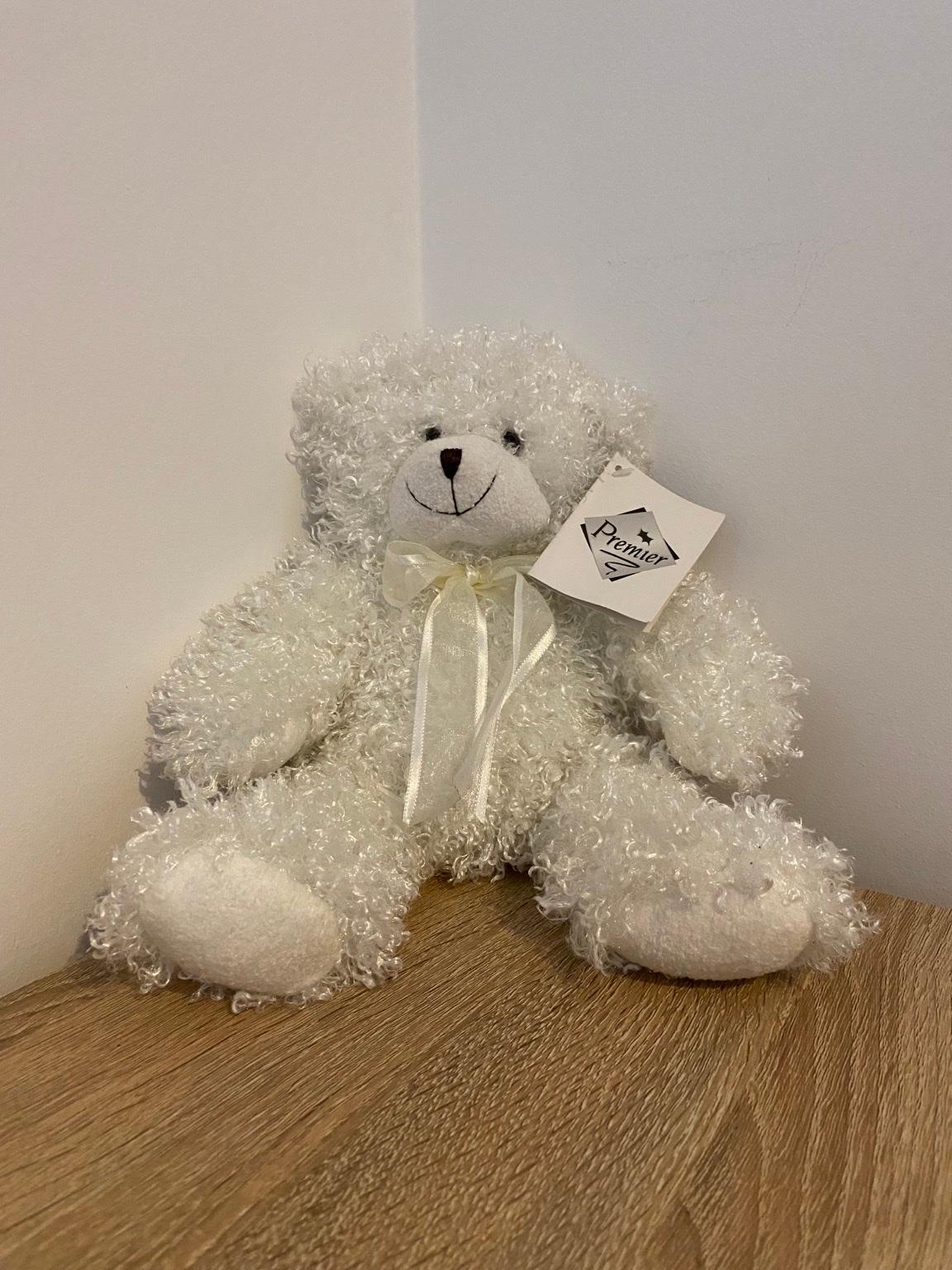 Super Soft Teddy Bear in SP11 Valley for £1.00 for sale | Shpock