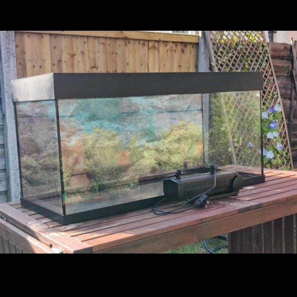 200L fish tank aquarium + filter in Trafford for £75.00 for sale | Shpock