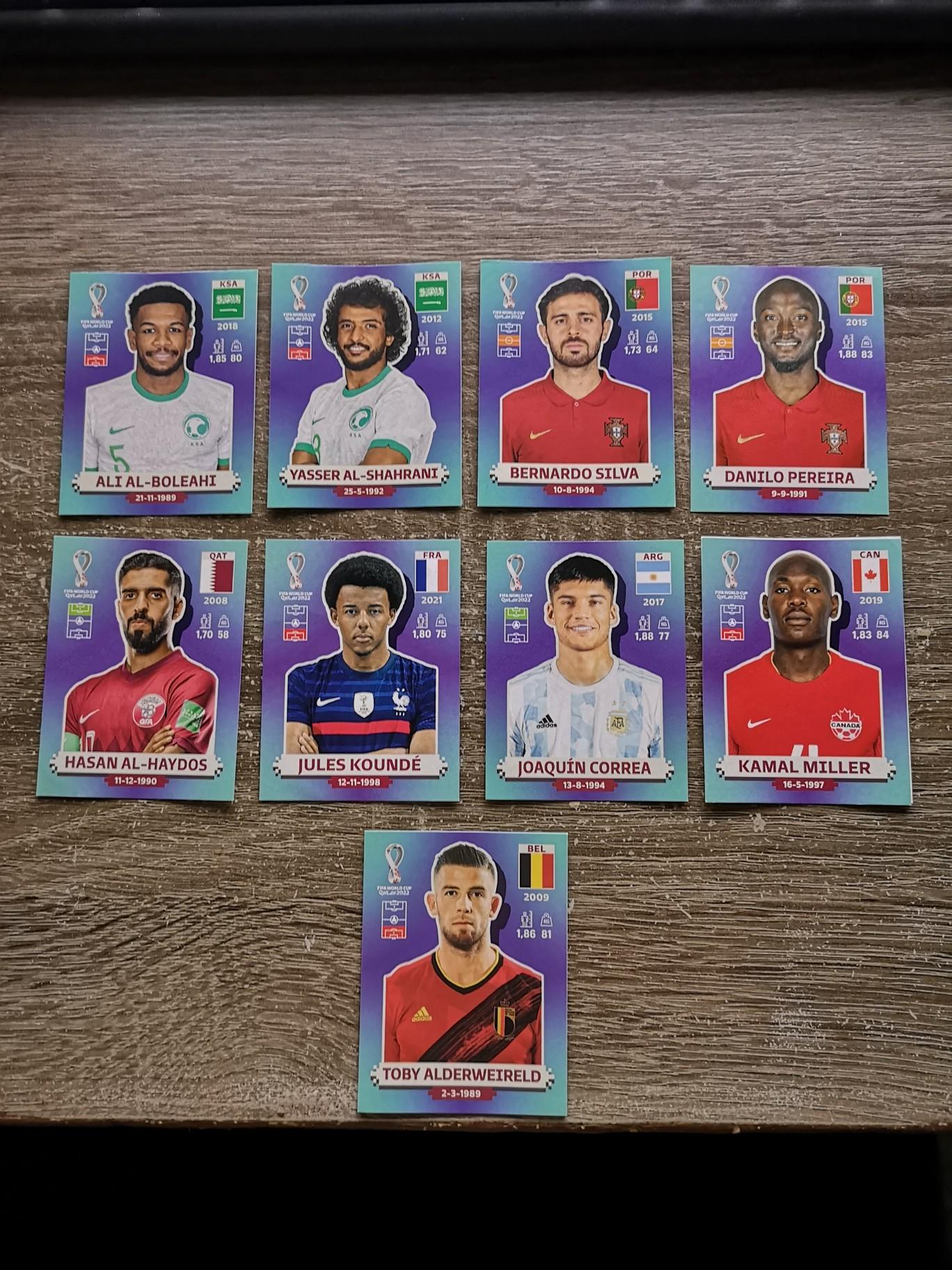 WM Qatar 2022 panini sticker in 91052 Erlangen für 6,00 € zum Verkauf ...