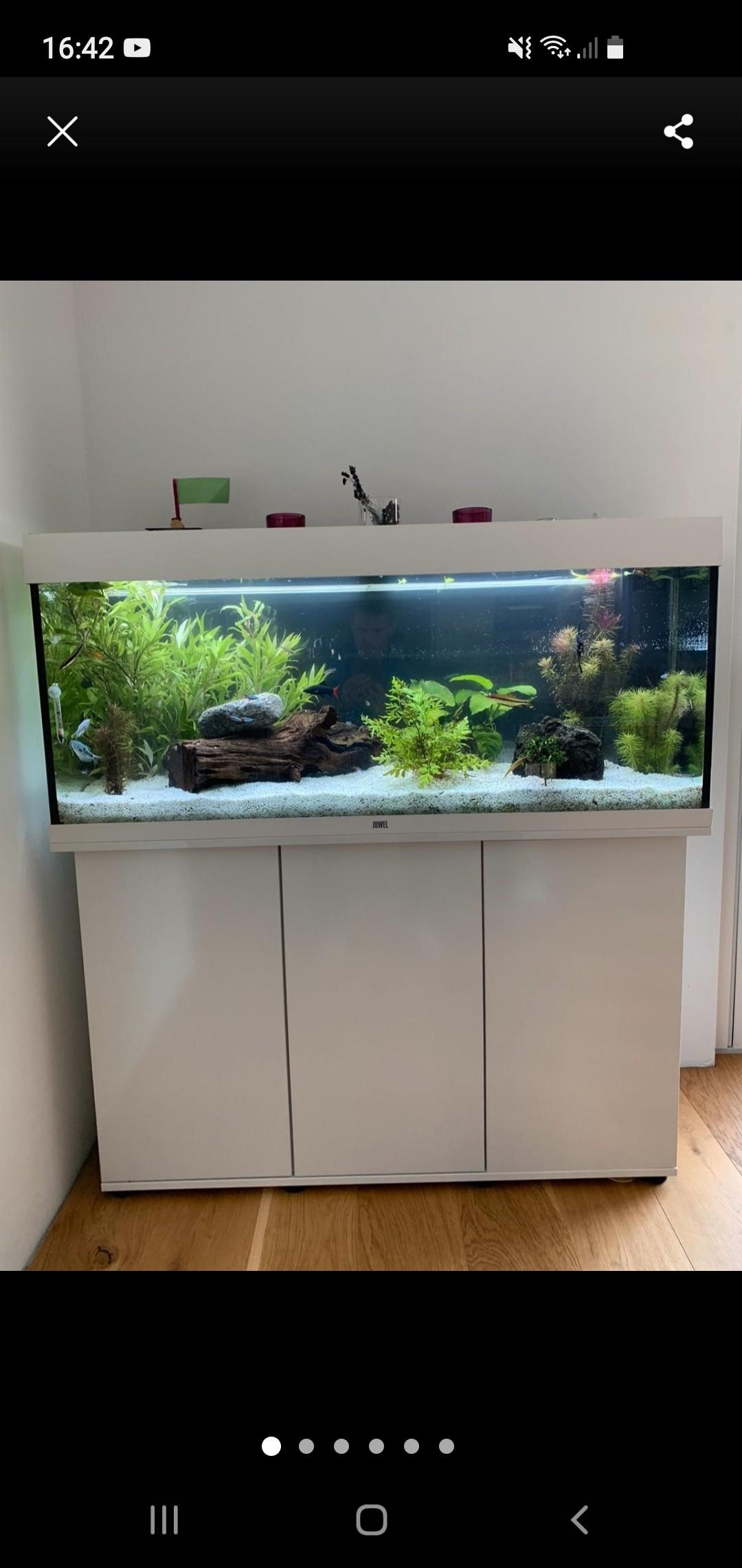 juwel rio 350 Liter Aquarium in 80933 München für 400,00 € zum Verkauf ...