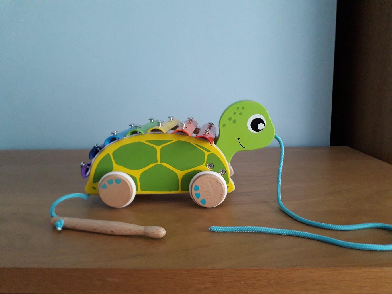 PULL ALONG TURTLE WITH XYLOPHONE in DY2 Dudley für 3,00 £ zum Verkauf ...