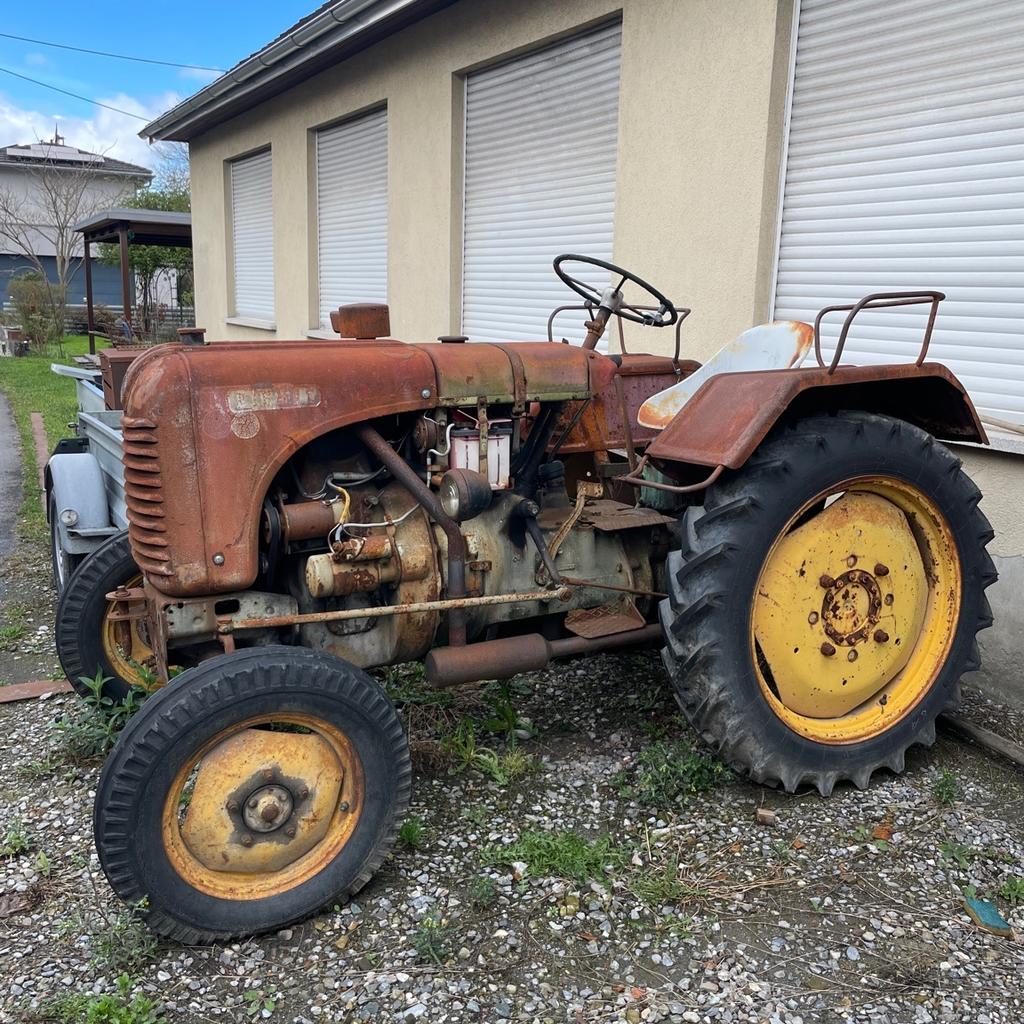 Steyr T84, Baujahr 1957 in 6844 Gemeinde Altach für € 3.500,00 zum ...