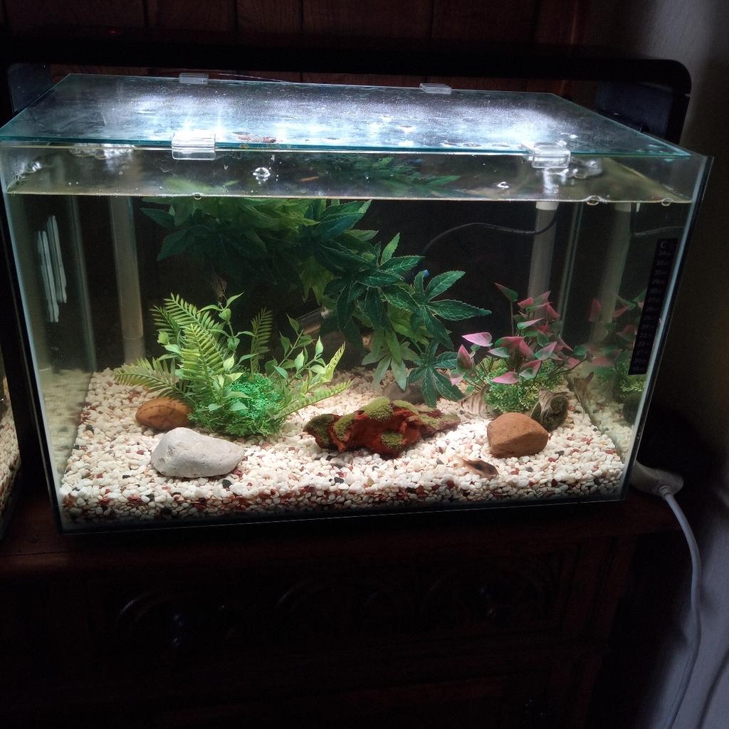 Superfish fish tank in OL4 Oldham for £35.00 for sale | Shpock