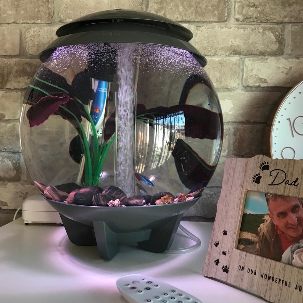 Biorb fish tank in Coventry für 50,00 £ zum Verkauf | Shpock DE