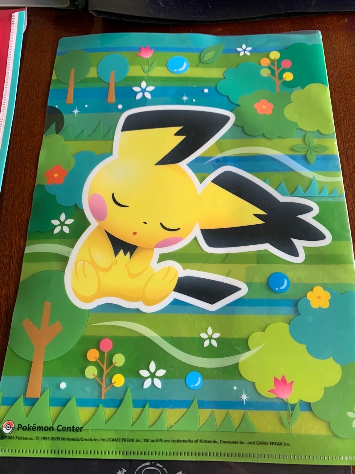 Pokémon,Bleach,Nyampire files/folders bundle in WA4 Thelwall für £ 4,50 ...