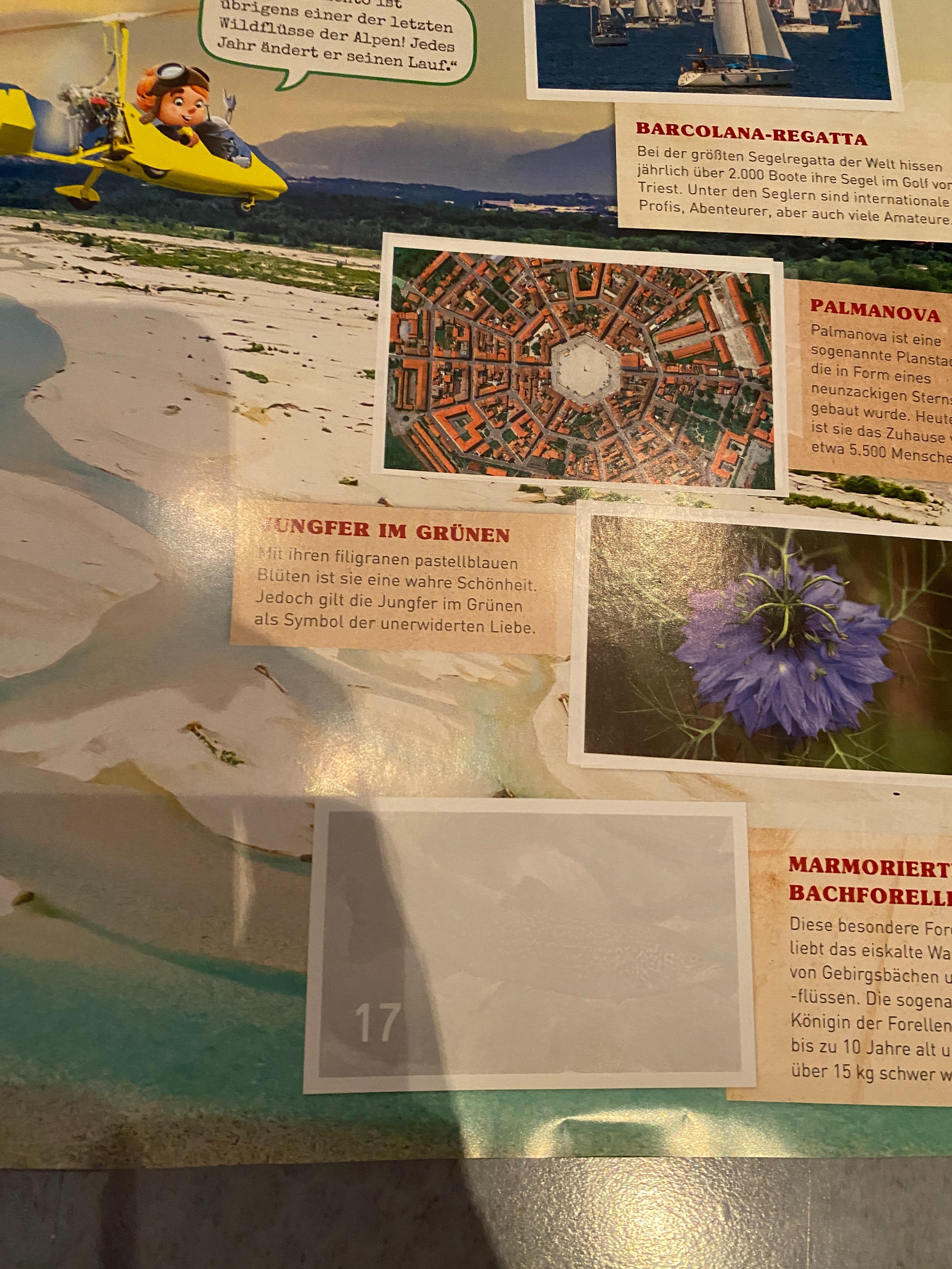 Stickermania Pizza Code Buch in 6263 Gemeinde Fügen für € 10,00 zum ...