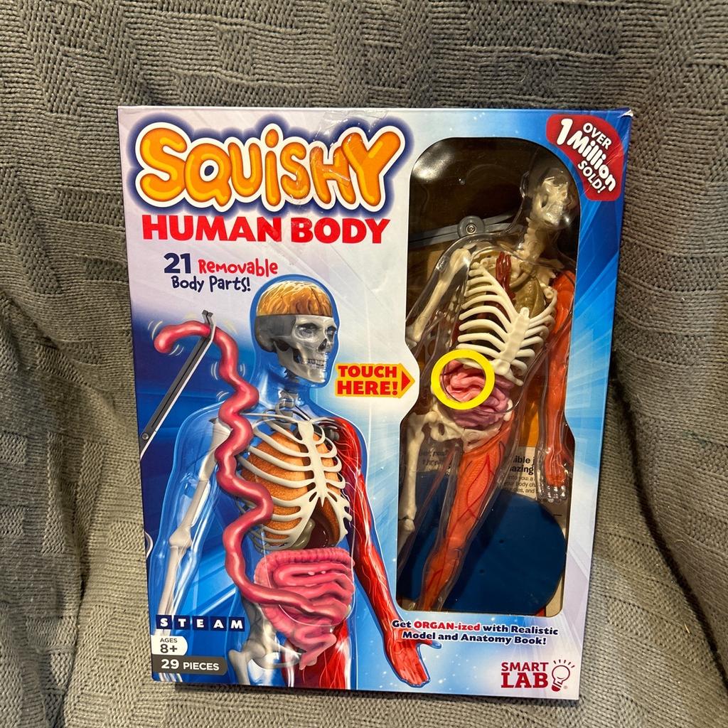 Squishy human body set in B75 Birmingham für 2,00 £ zum Verkauf | Shpock DE