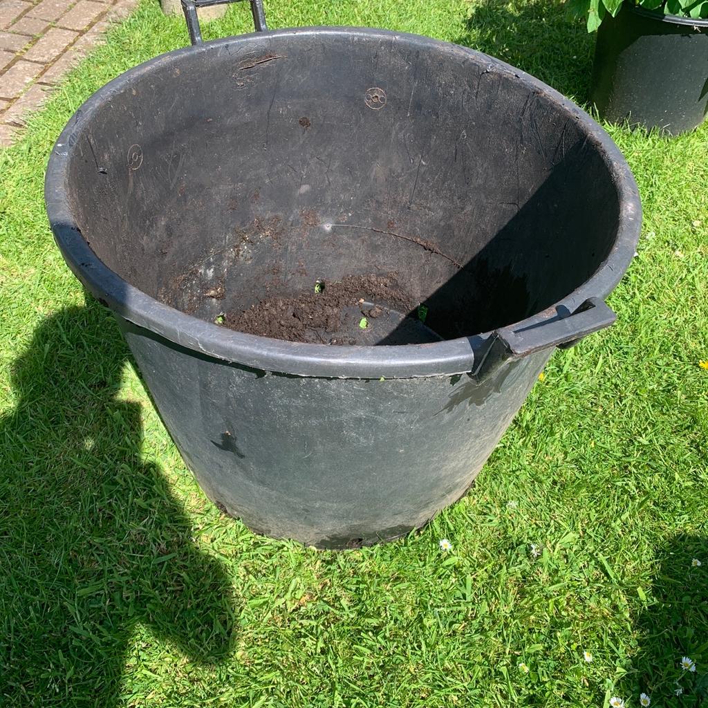 130 litre pot suit tree in S60 Rotherham for £10.00 for sale | Shpock
