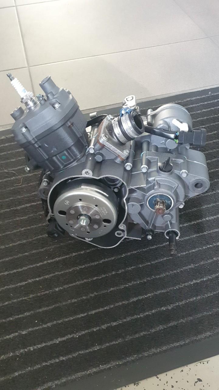 D50b0 Motor Euro4, Derbi, Aprilia, Gilera in 4170 Haslach an der Mühl ...