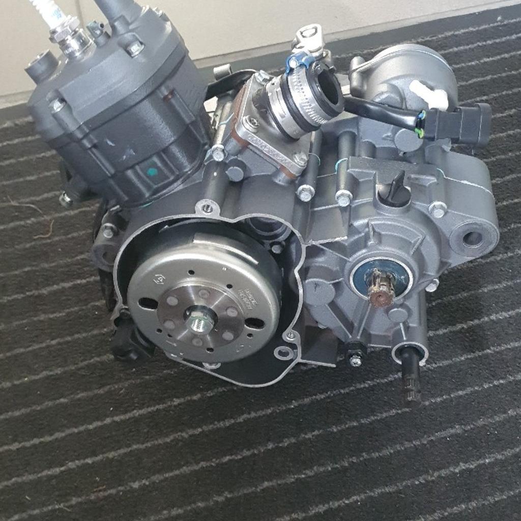 D50b0 Motor Euro4, Derbi, Aprilia, Gilera in 4170 Haslach an der Mühl ...