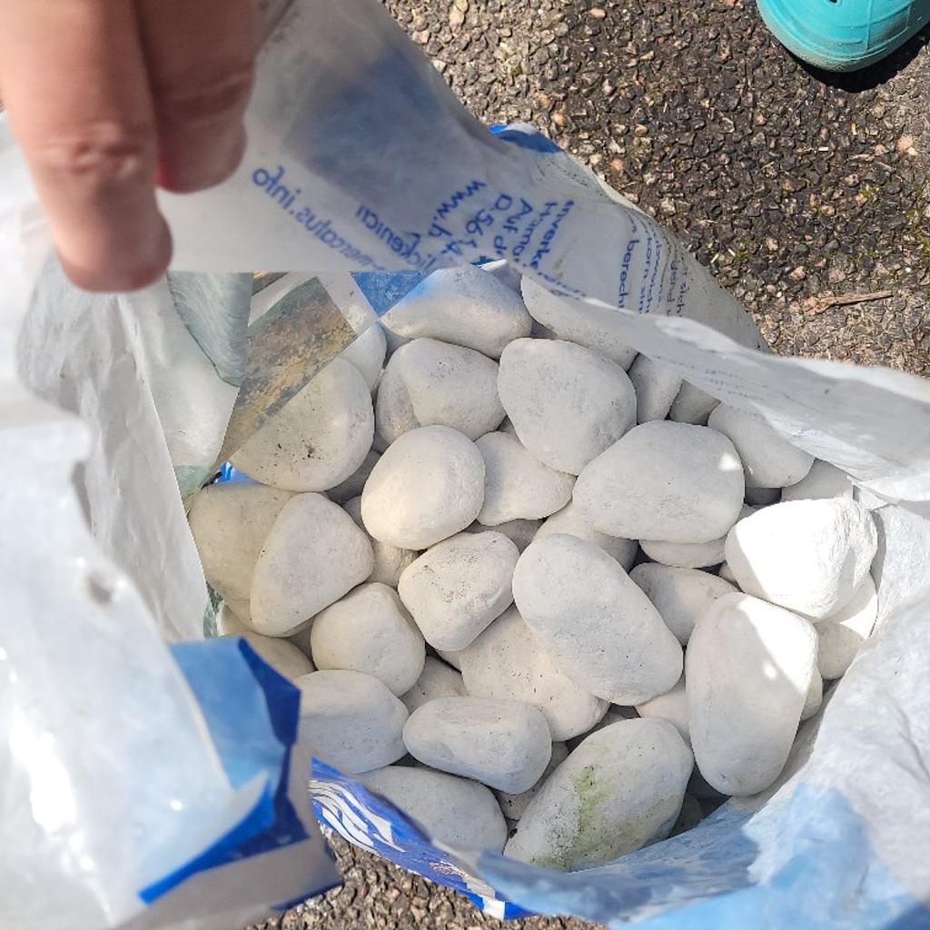 Zierkies weiß groß in 67549 Worms für 2,00 € zum Verkauf | Shpock DE