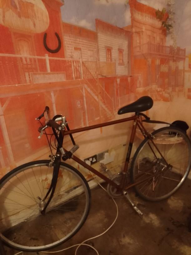 Raleigh Trans X Sprint Custom in N16 London for £400.00 for sale | Shpock