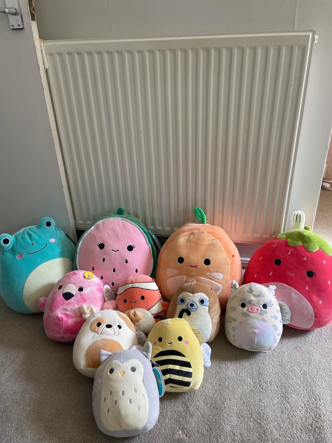 Squishmallows Bundle in AL7 Hatfield für 25,00 £ zum Verkauf | Shpock DE