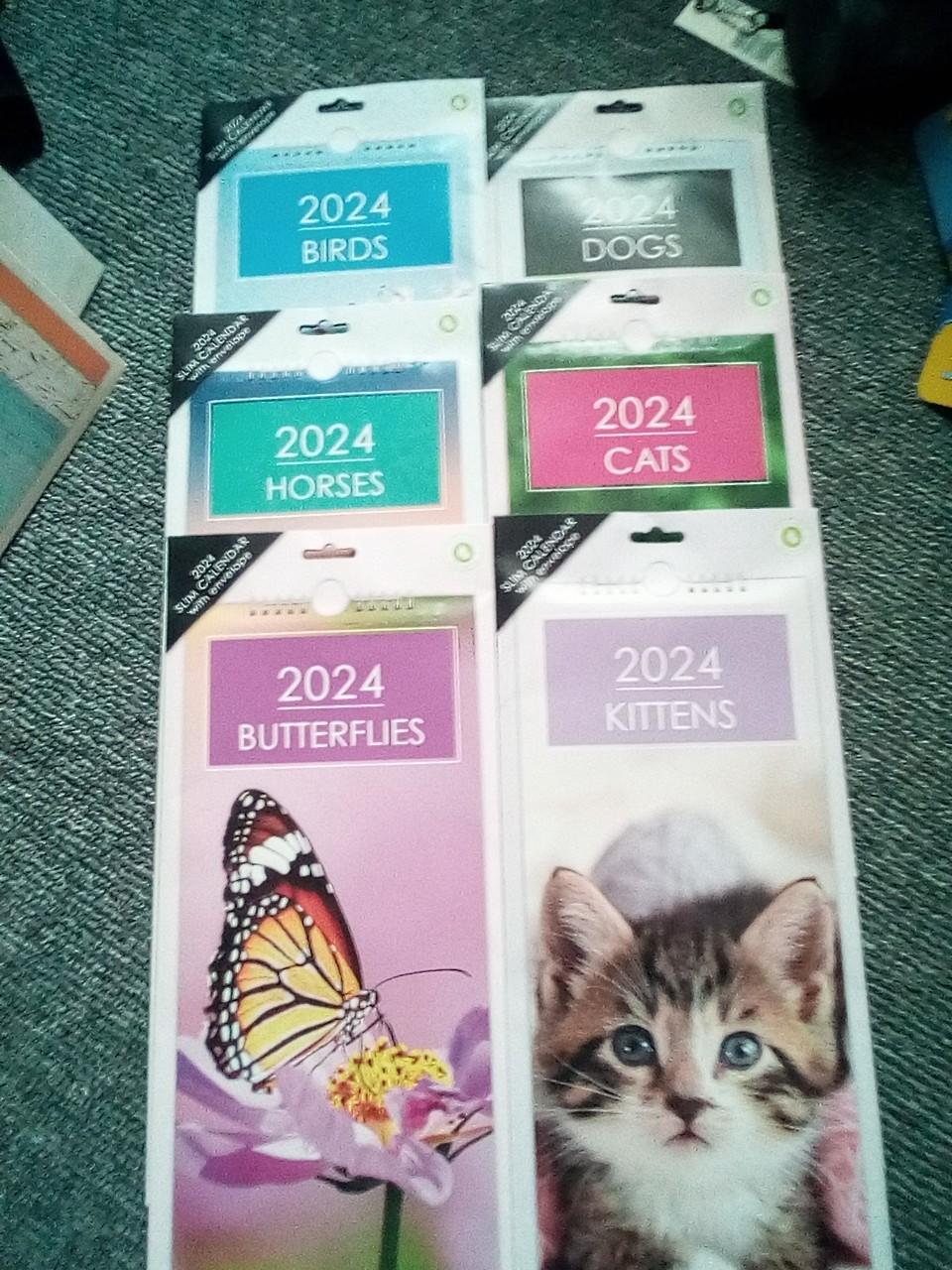 6 brand new 2024 SLIM calendars in LN9 Lindsey für 5,00 £ zum Verkauf ...