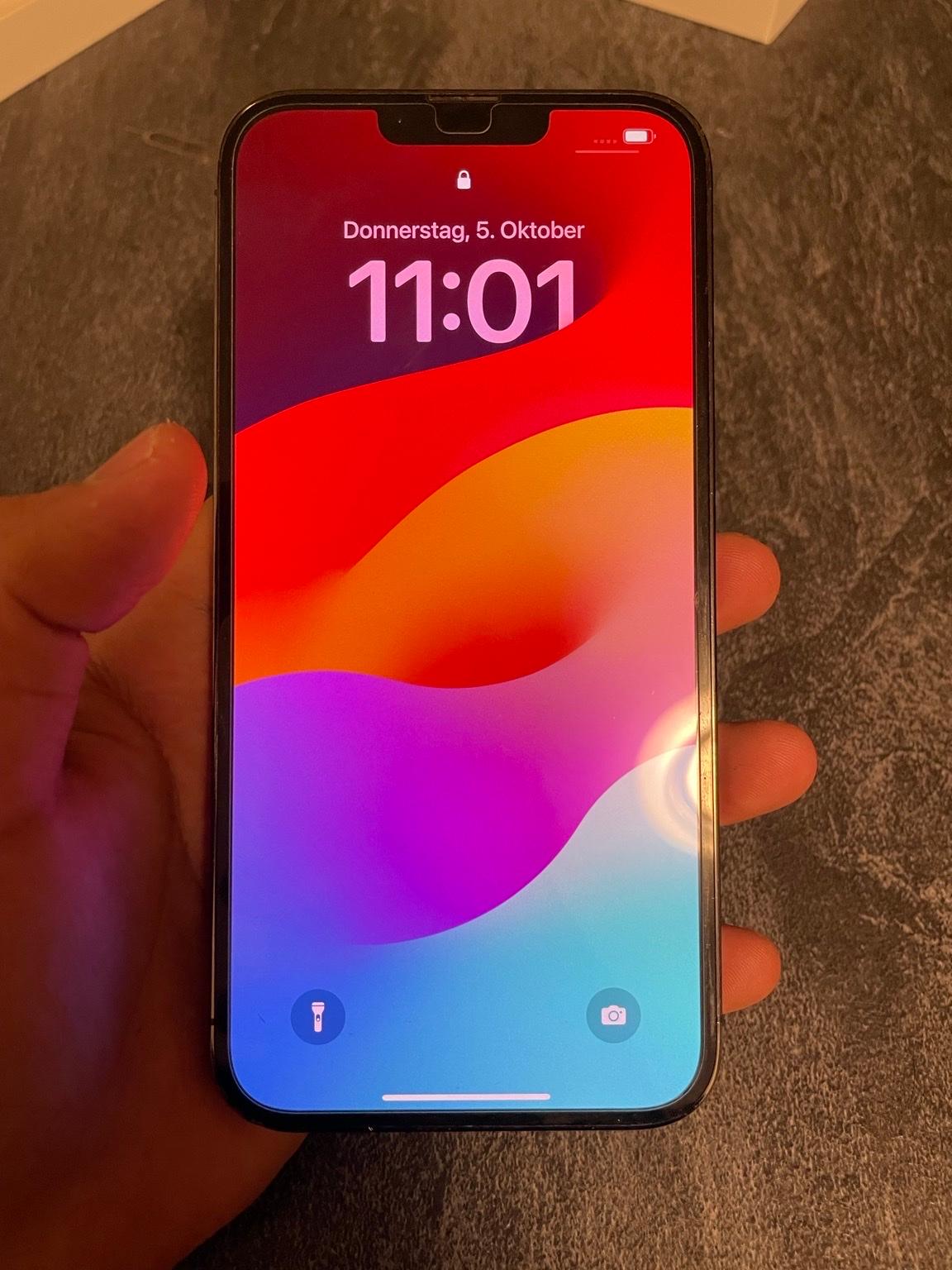 iPhone 13 Pro Max 1 TB in 6500 Landeck für 700,00 € zum Verkauf | Shpock DE