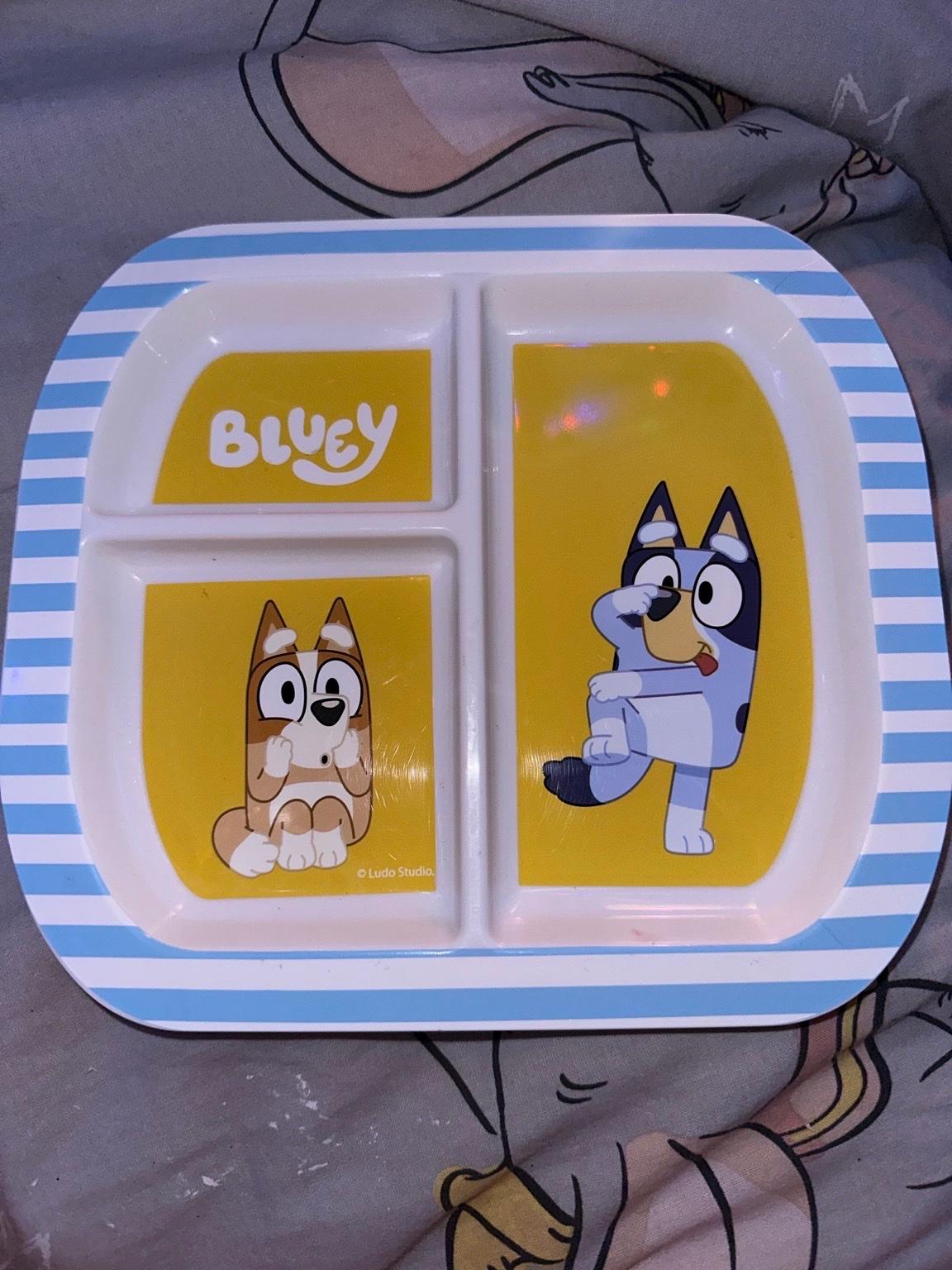 Bluey Plate in L11 Liverpool für 1,00 £ zum Verkauf | Shpock DE