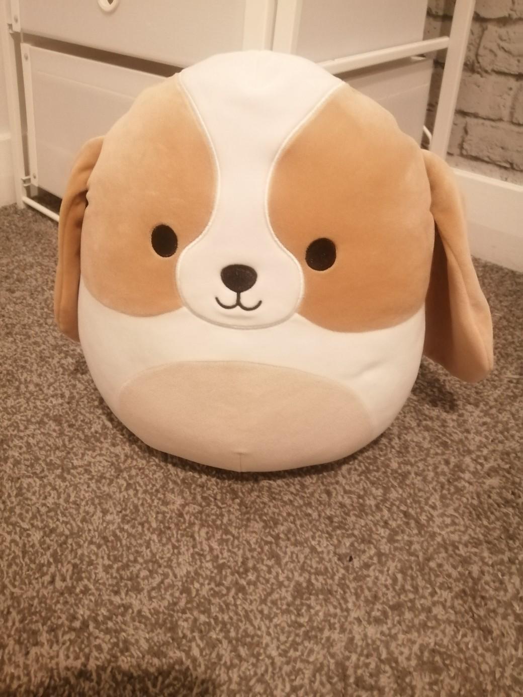 big squishmallow teddy in S75 Barnsley für 10,00 £ zum Verkauf | Shpock DE