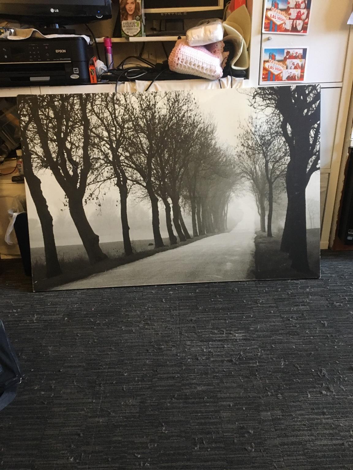 Tree photo in N4 London für £ 50,00 zum Verkauf | Shpock AT