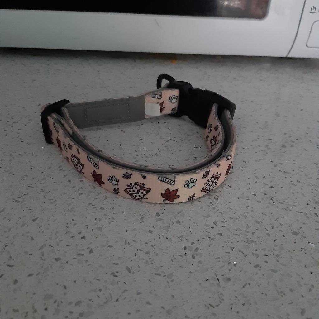 collar in SR4 Sunderland für 0,10 £ zum Verkauf | Shpock DE