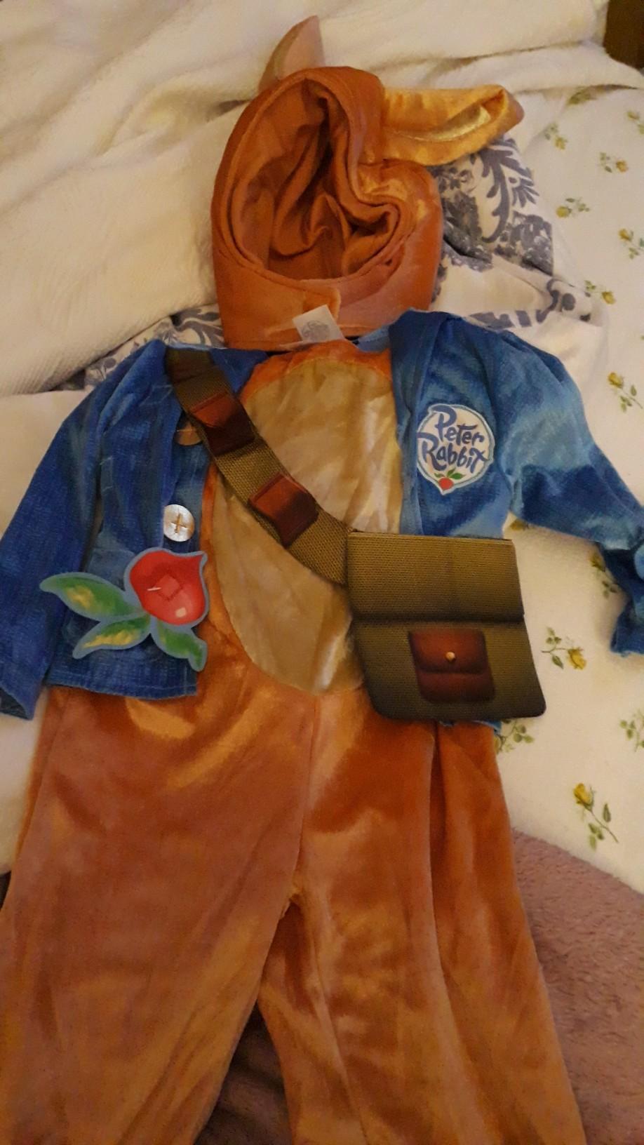 peter rabbit outfit 1 to 2 years in B71 Sandwell für £ 4,00 zum Verkauf ...