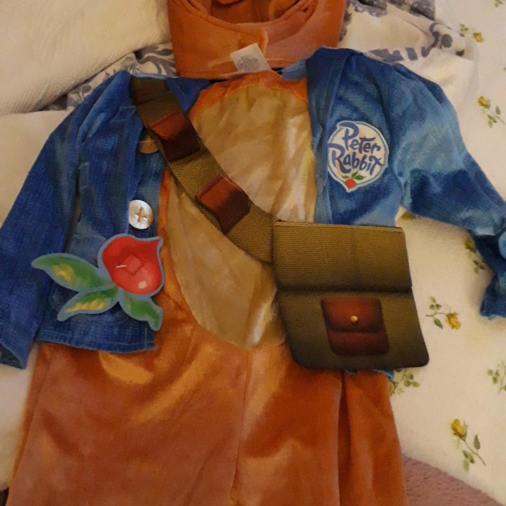 peter rabbit outfit 1 to 2 years in B71 Sandwell für £ 4,00 zum Verkauf ...