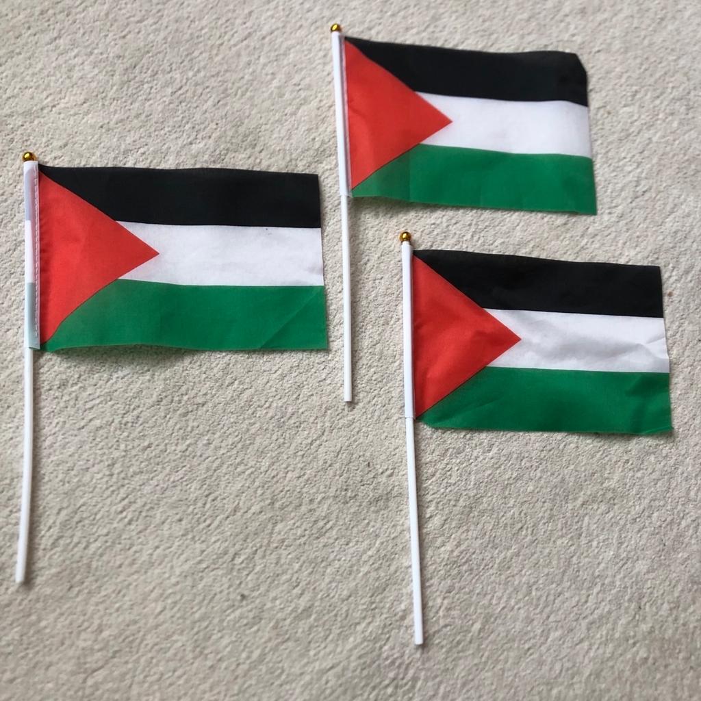 PALESTINIAN FLAG in CV6 Coventry für £ 2,00 zum Verkauf | Shpock AT