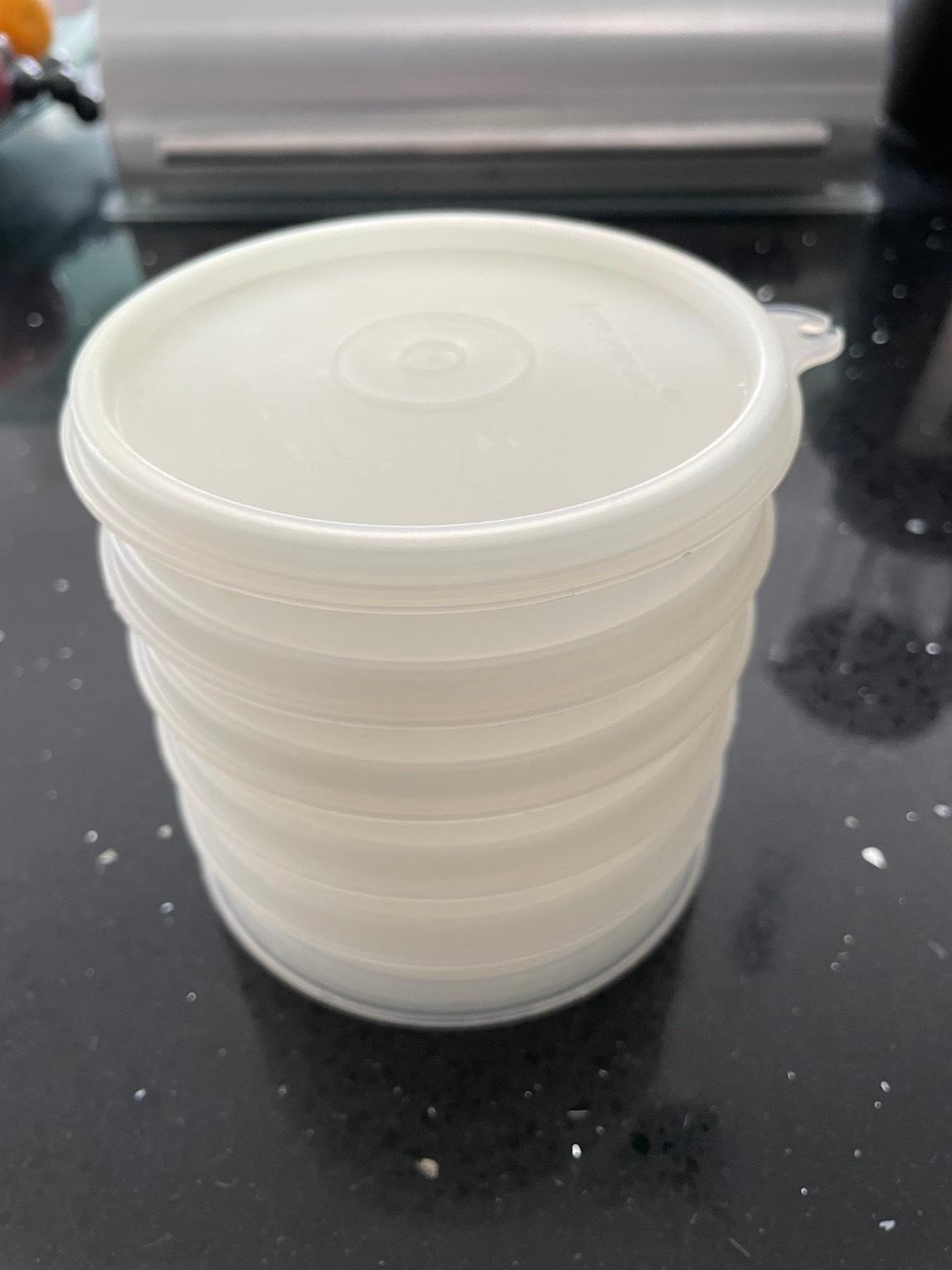 Tupperware Hamburger Patty Tk-Behälter in 6020 Innsbruck für 19,00 ...