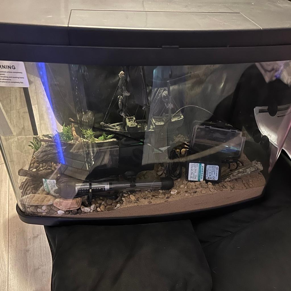 Complete fish tank in M35 Failsworth für £ 35,00 zum Verkauf | Shpock AT