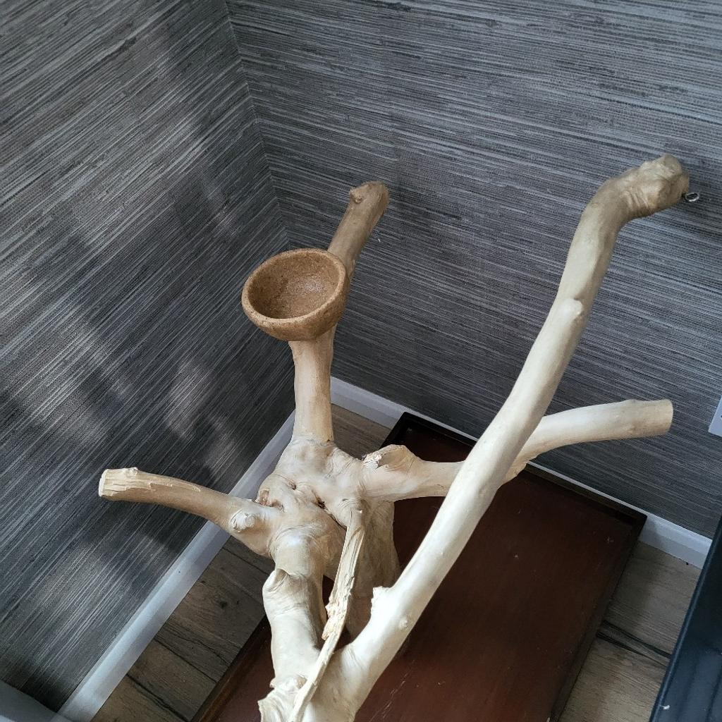 parrot java tree stand . in DA12 Gravesham für £ 30,00 zum Verkauf ...