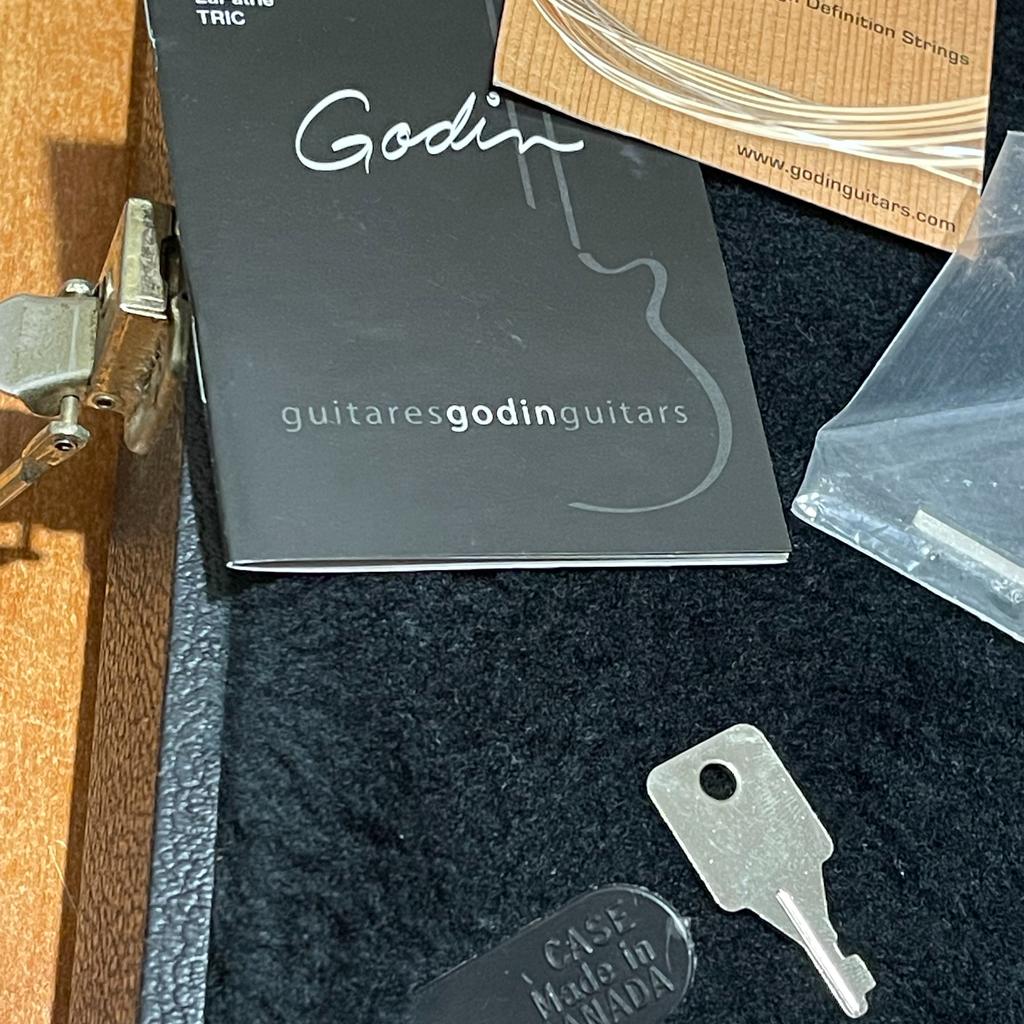 Godin Multiac ACS-SA Ocean Blue in Abriola for €1,500.00 for sale | Shpock