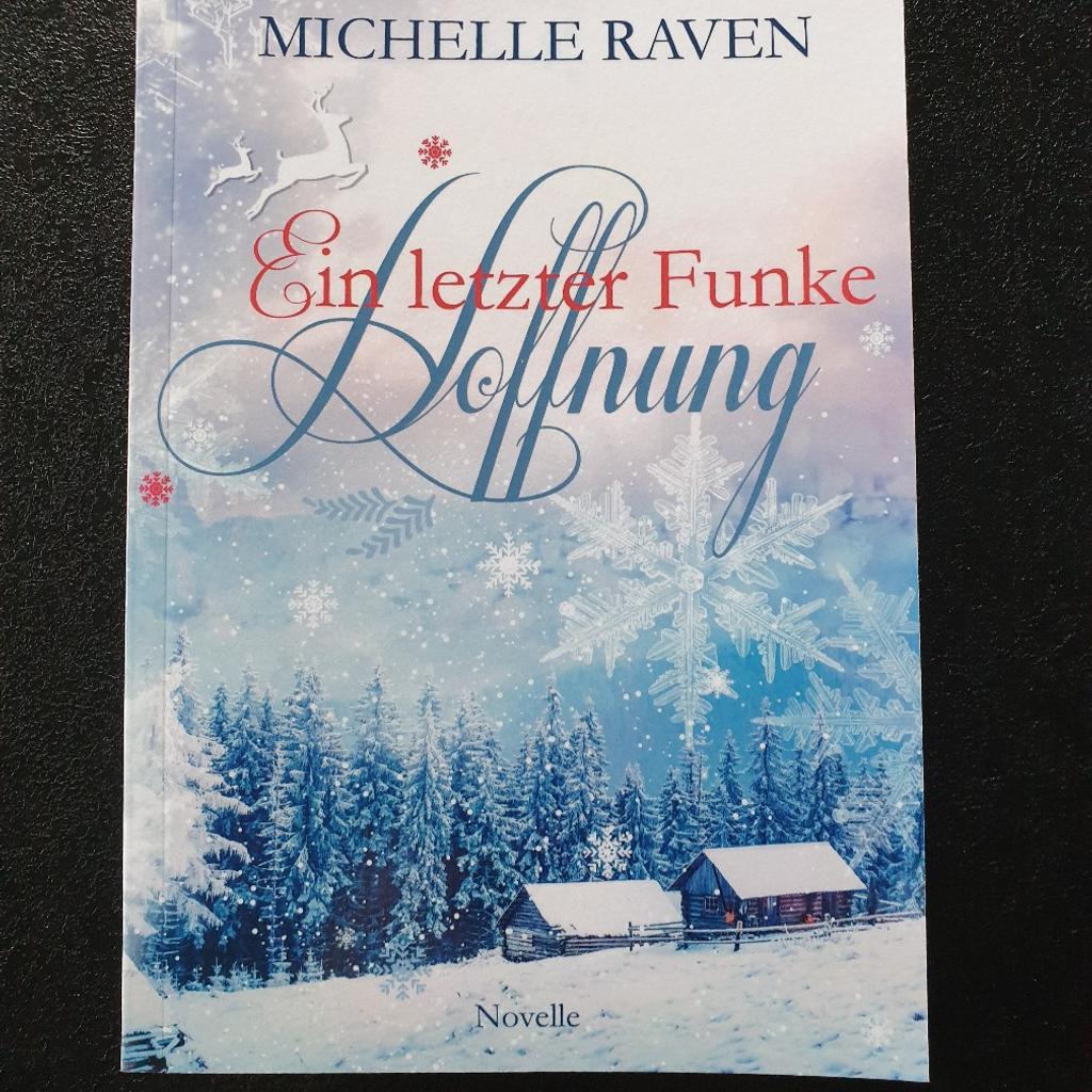 Ein letzter Funke Hoffnung - Michelle Raven in 08525 Plauen für 2,50 ...